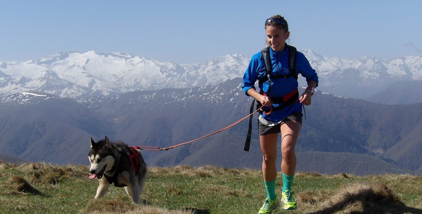 Cani-rando • Pointe de Sel